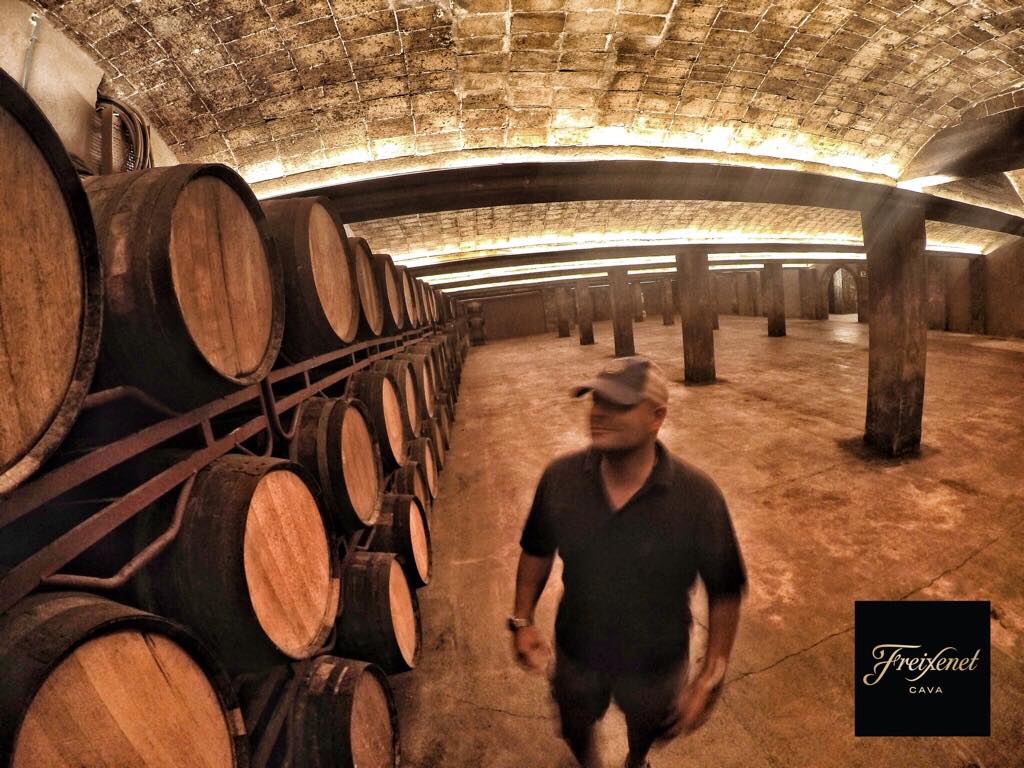 The wine cellar of Freixenet